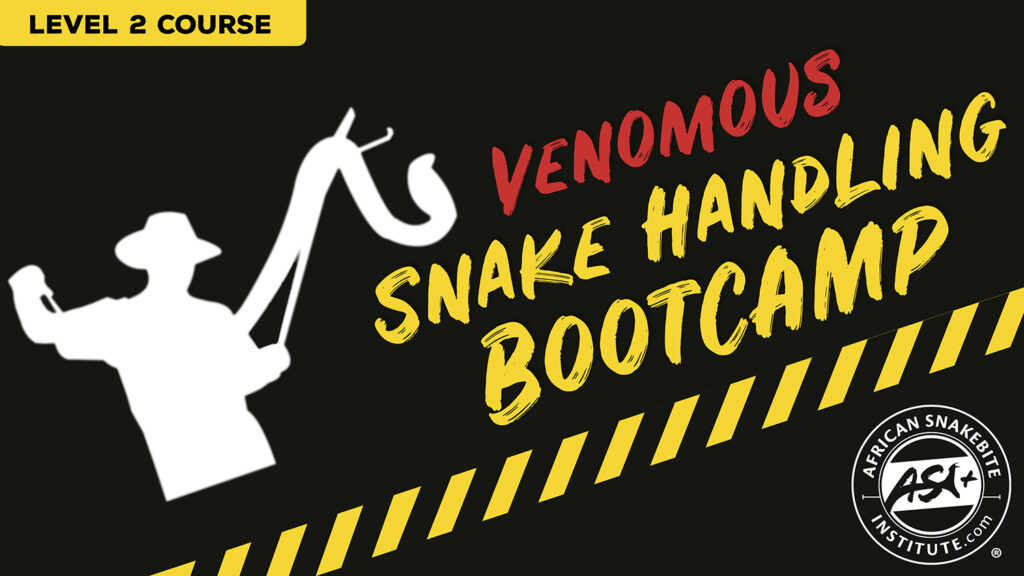 Venomous-Snake Handling Bootcamp (Hoedspruit) - 2023-06-04