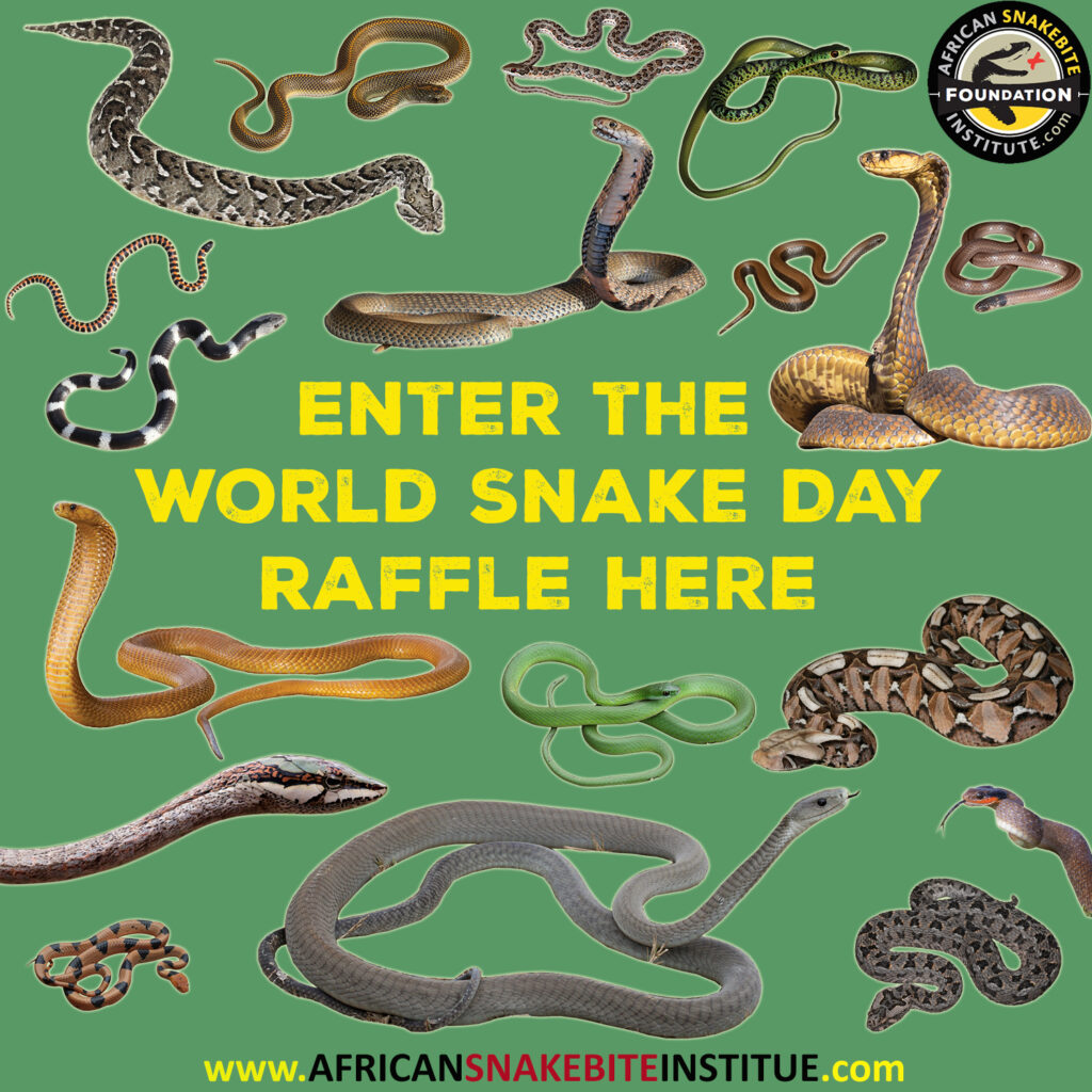 ASI Foundation - World Snake Day Raffle - African Snakebite Institute