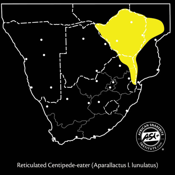 Reticulated Centipede-eater - African Snakebite Institute