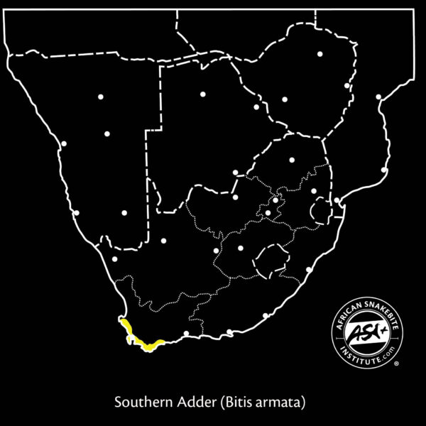 Southern Adder - African Snakebite Institute