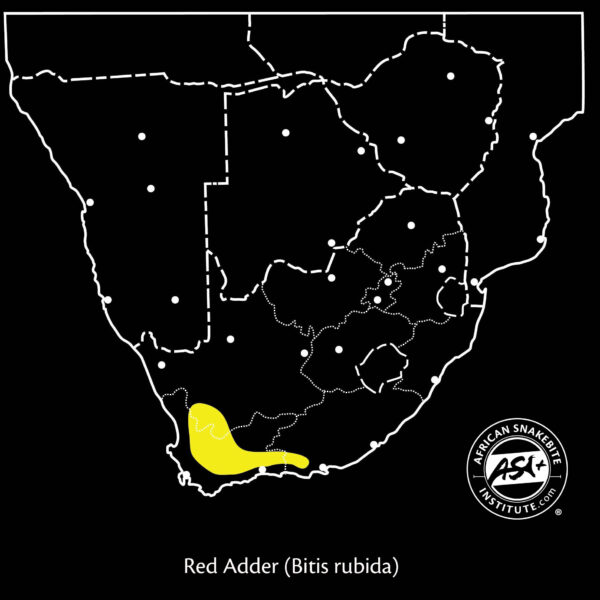 Red Adder - African Snakebite Institute