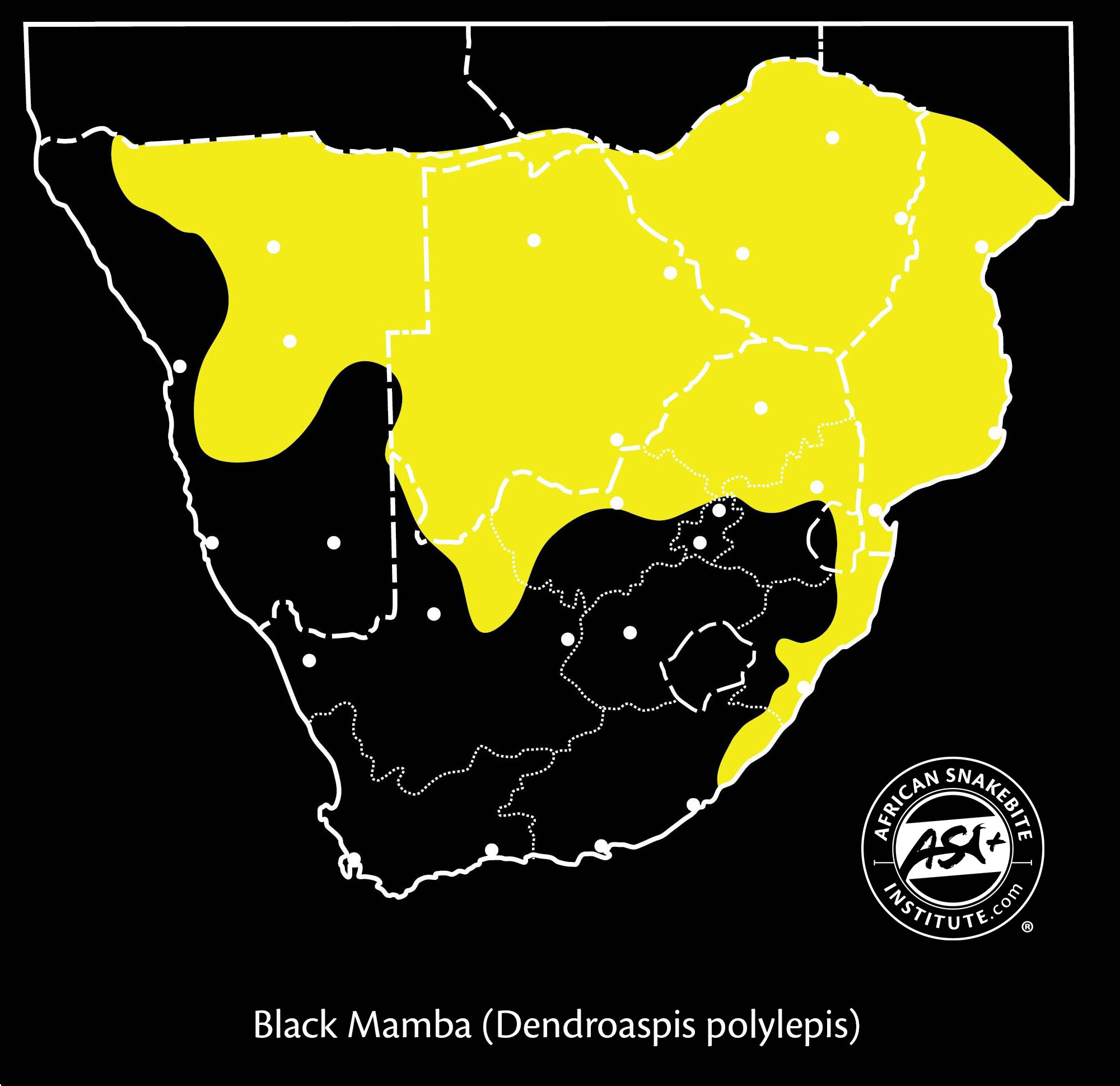 Not every dark snake is a Black Mamba - African Snakebite Institute