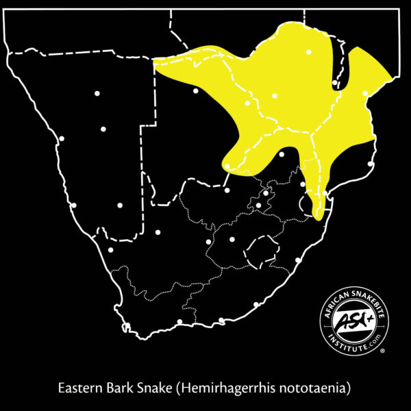 Eastern Bark Snake - African Snakebite Institute