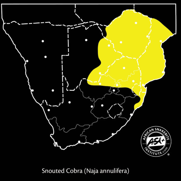 Snouted Cobra - African Snakebite Institute