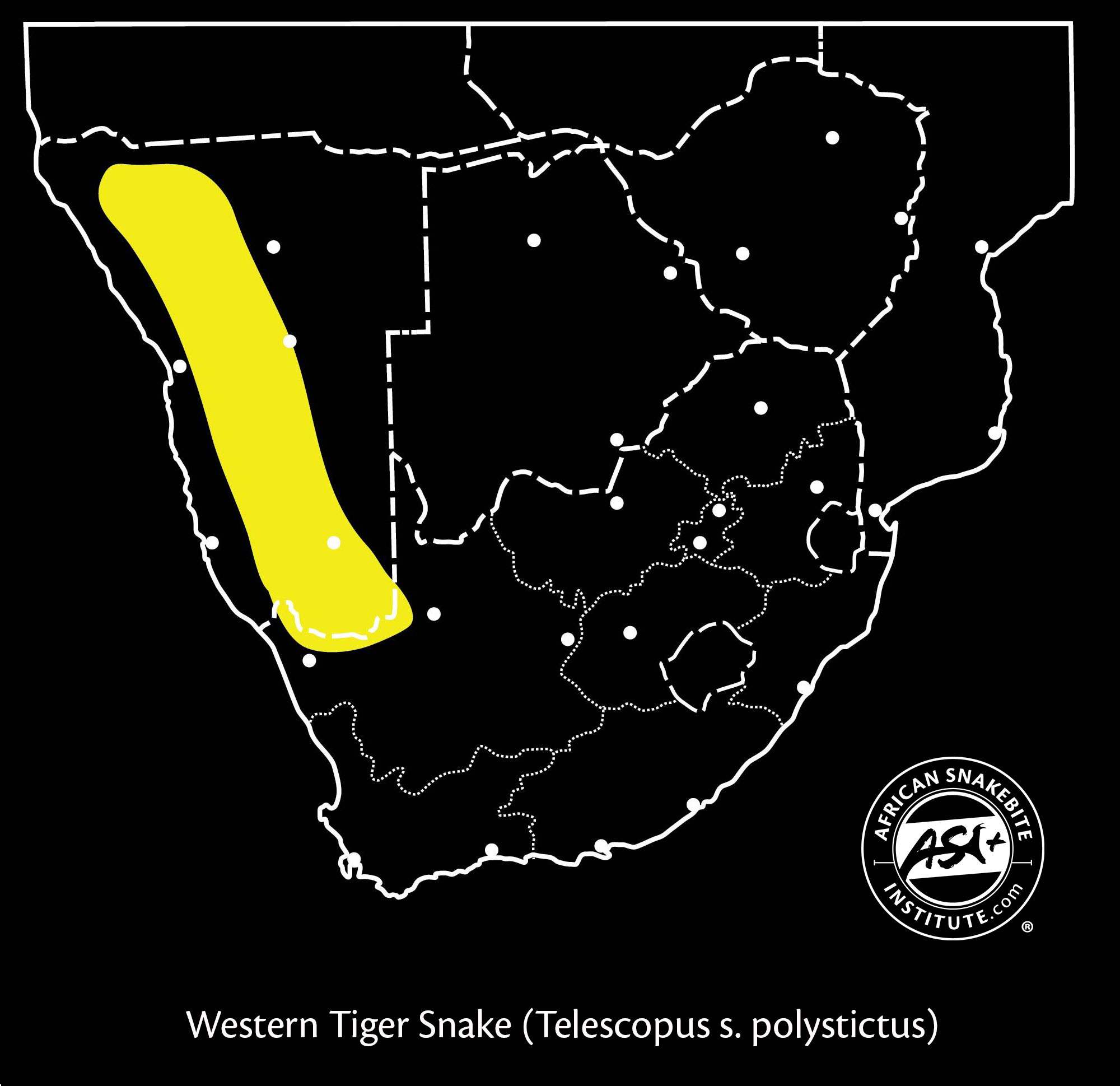 Western Tiger Snake - African Snakebite Institute