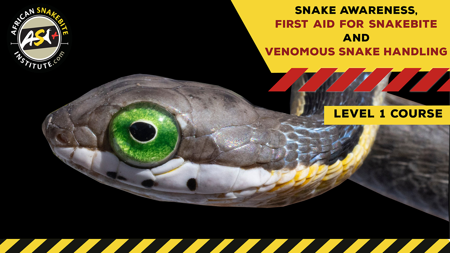 Snake Awareness & Venomous Snake Handling (Gauteng) - 2022-11-26