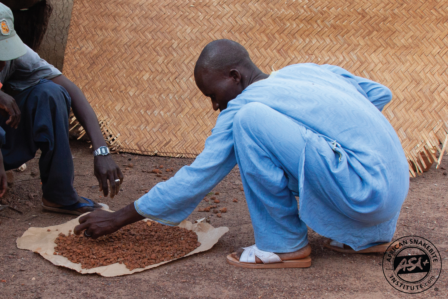 Traditional Remedies for Snakebite - African Snakebite Institute
