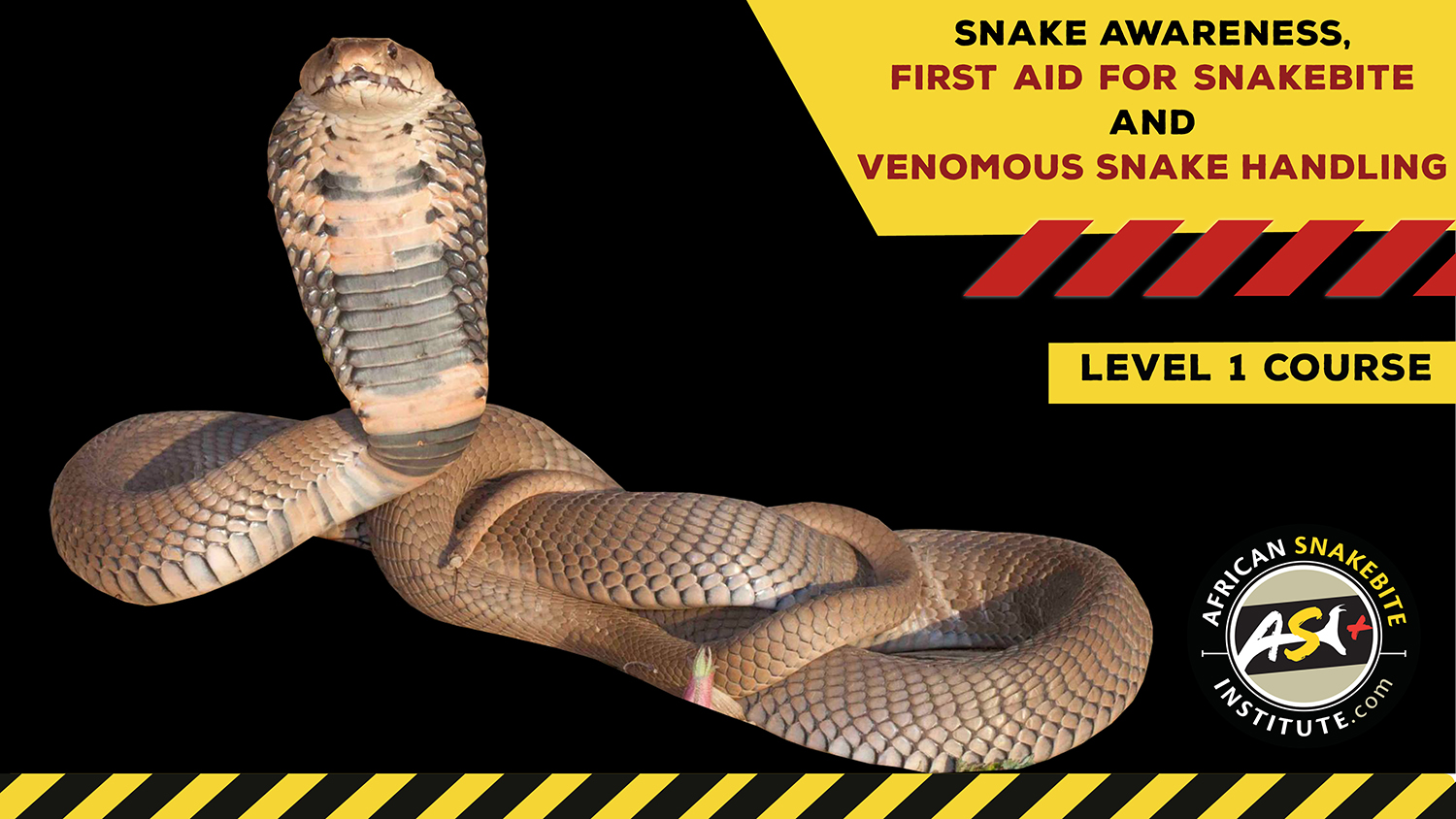 Snake Awareness & Venomous Snake Handling (KZN) - 2023-03-04