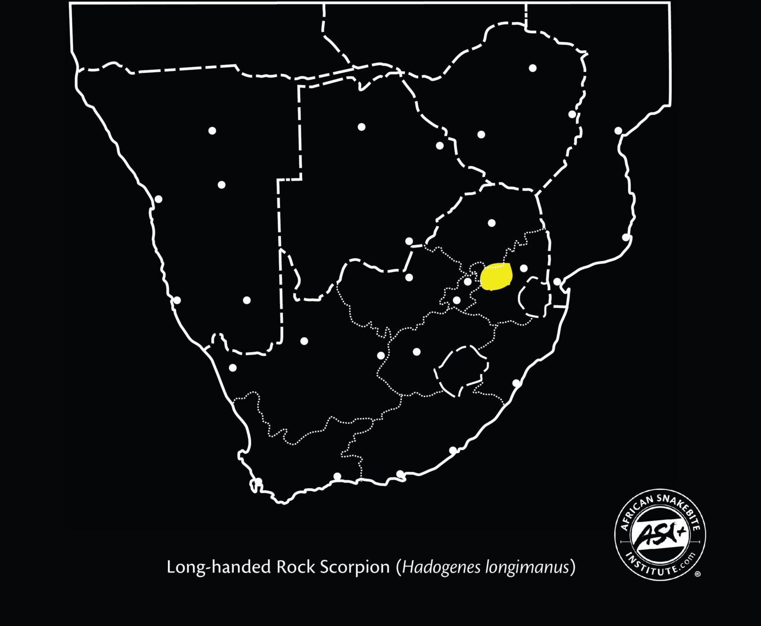 Kranspoort Rock Scorpion - African Snakebite Institute