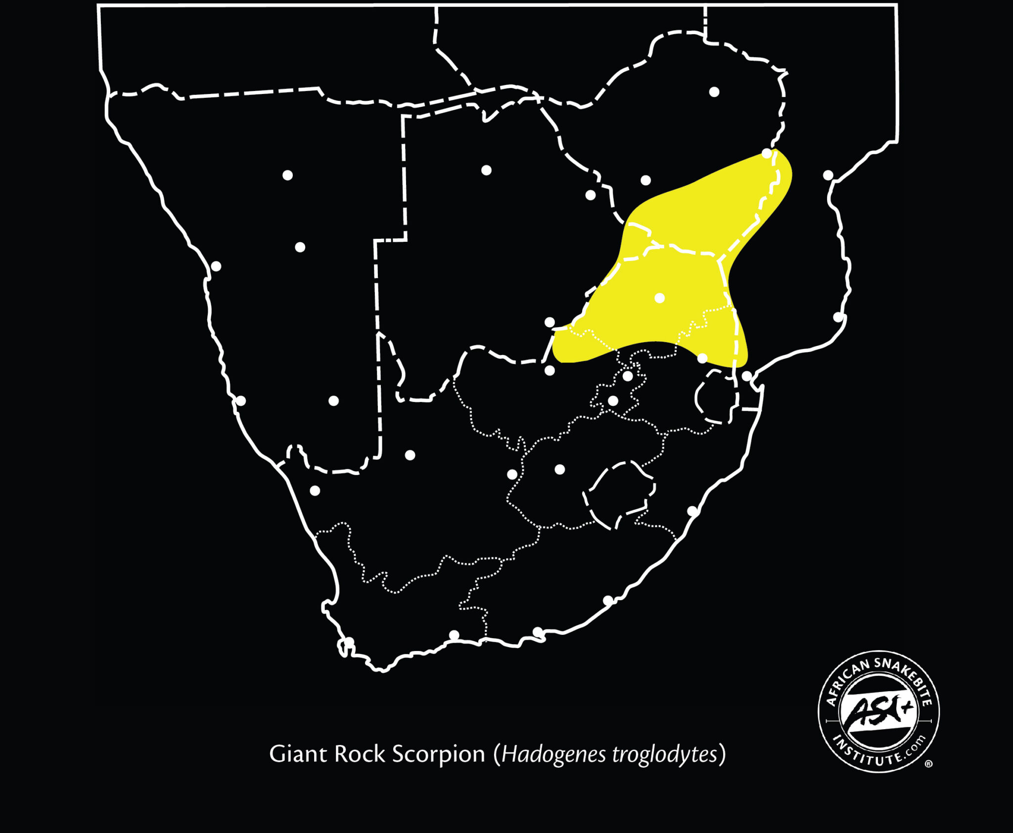 Giant Rock Scorpion - African Snakebite Institute