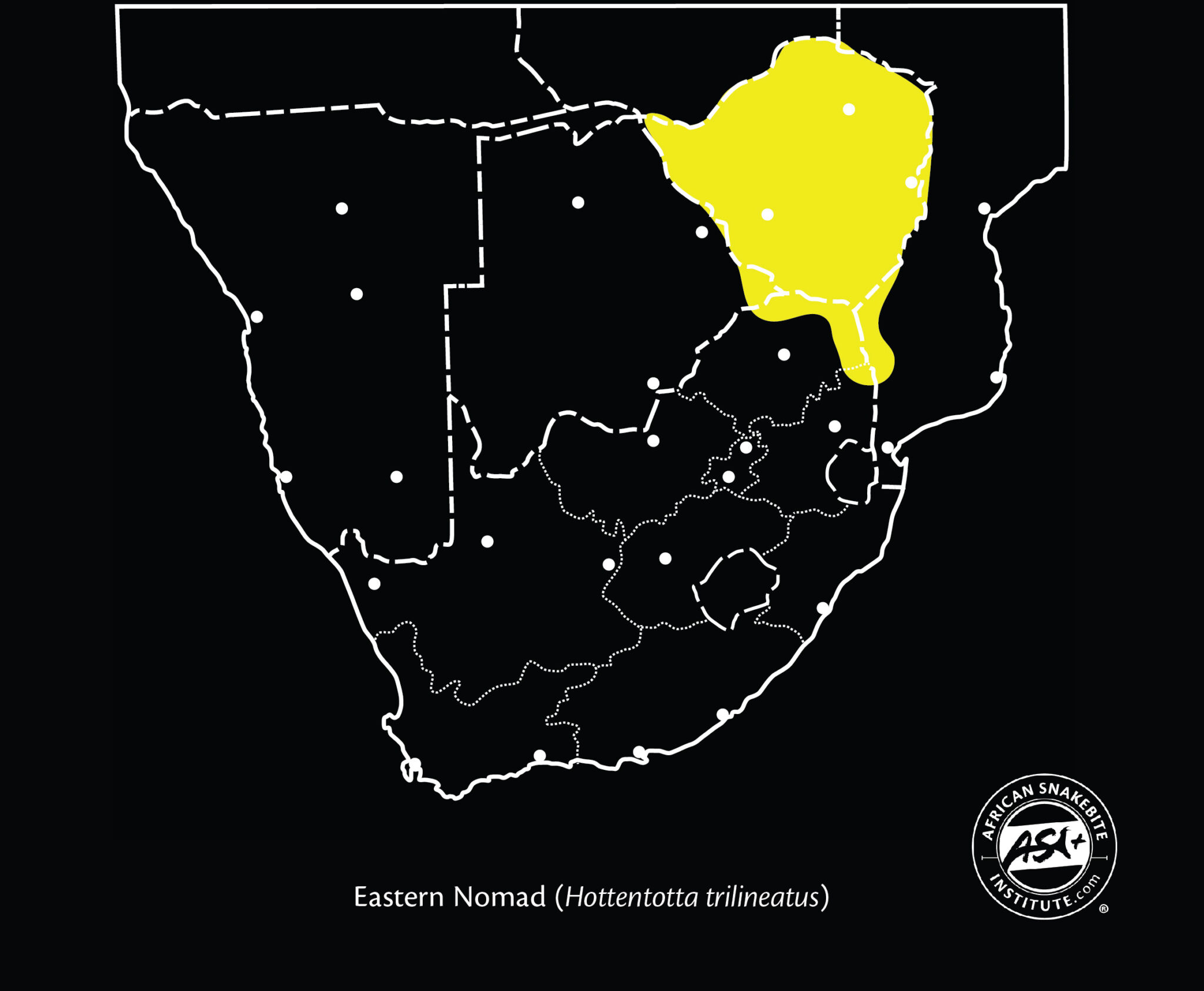 Eastern Nomad - African Snakebite Institute