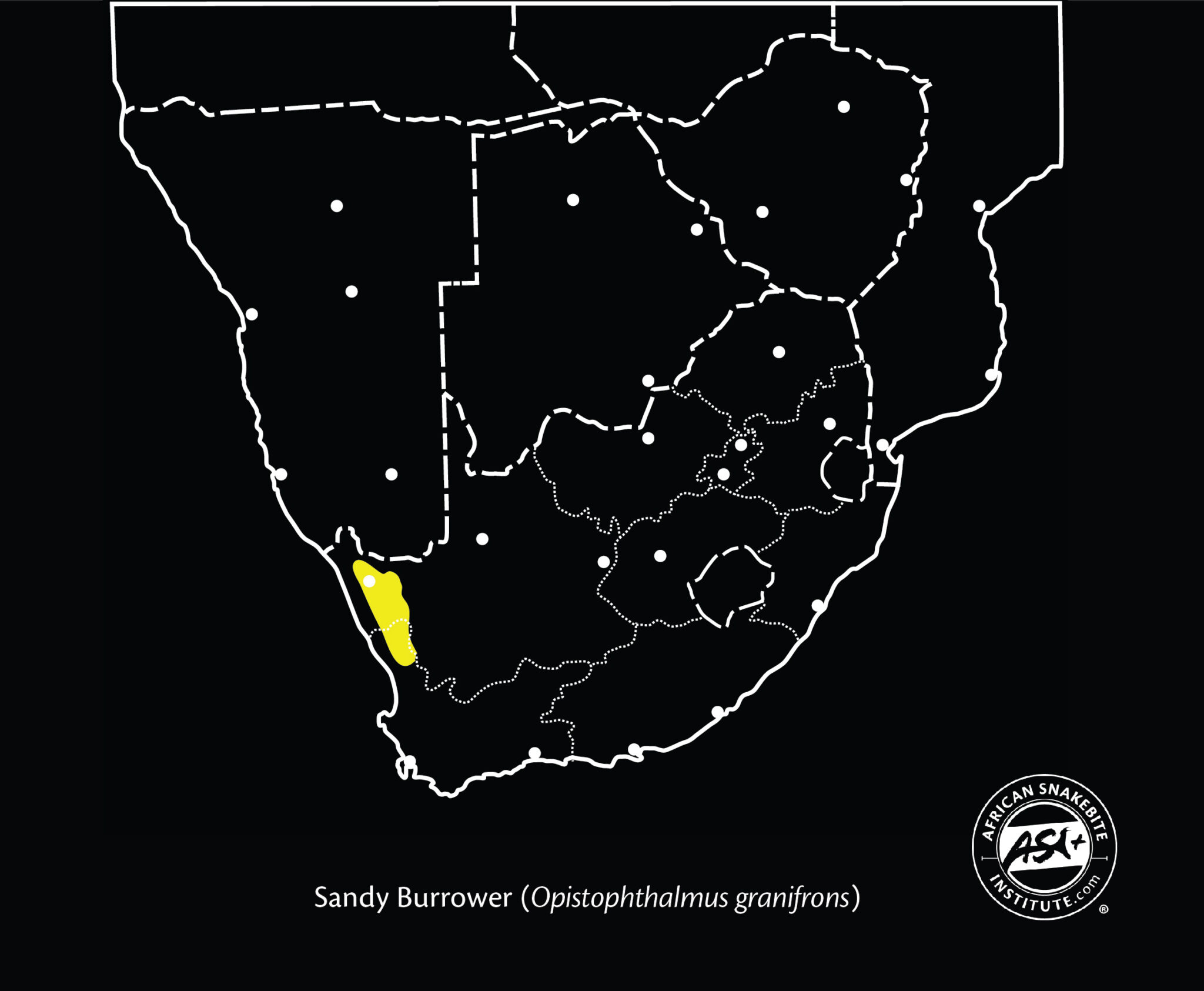 Sandy Burrower - African Snakebite Institute
