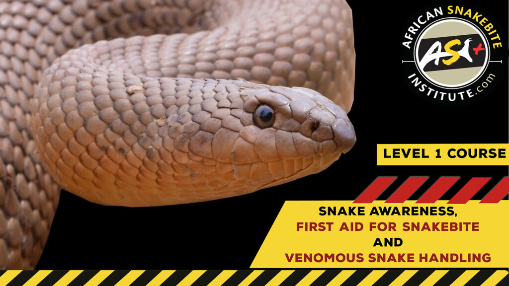 Snake Awareness & Venomous Snake Handling (Gauteng) - 2023-03-25