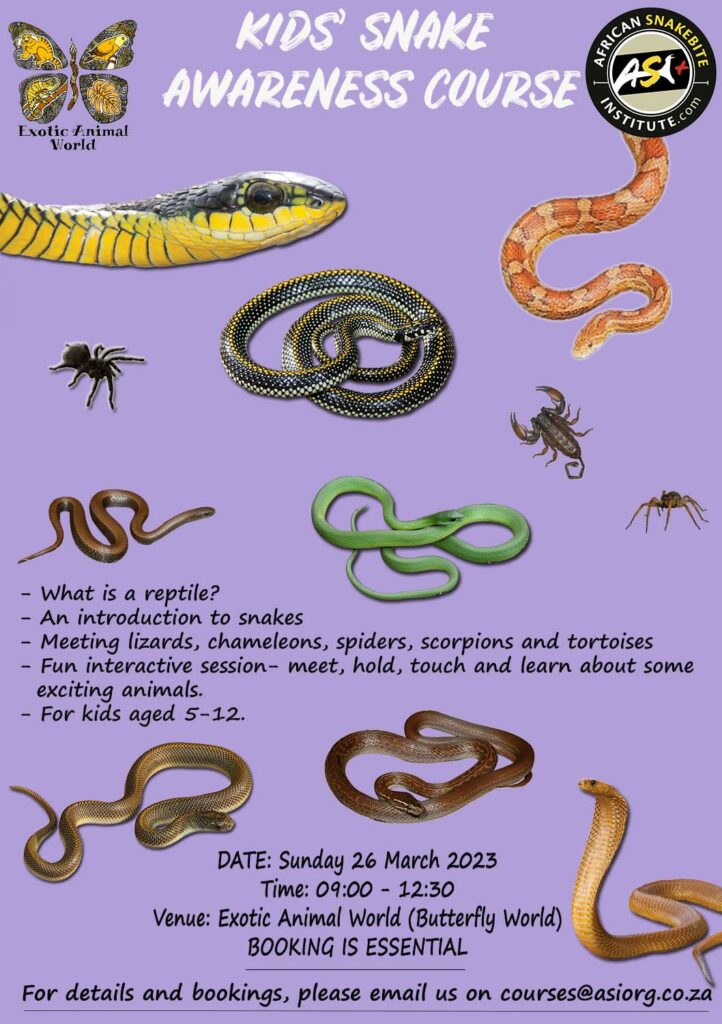 Kids' Snake Awareness Course (Western Cape) - 2023-03-26