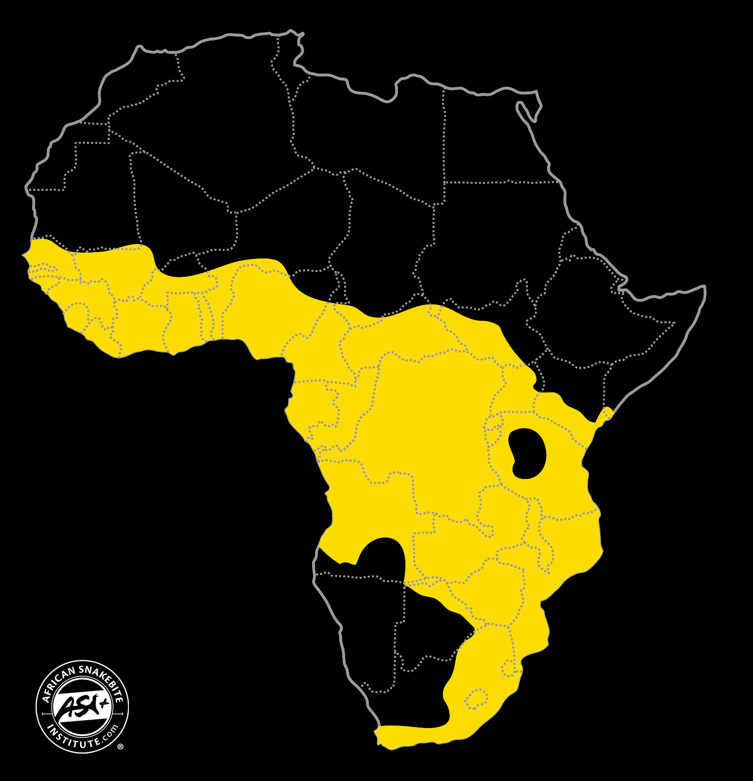 Herald Snake - African Snakebite Institute