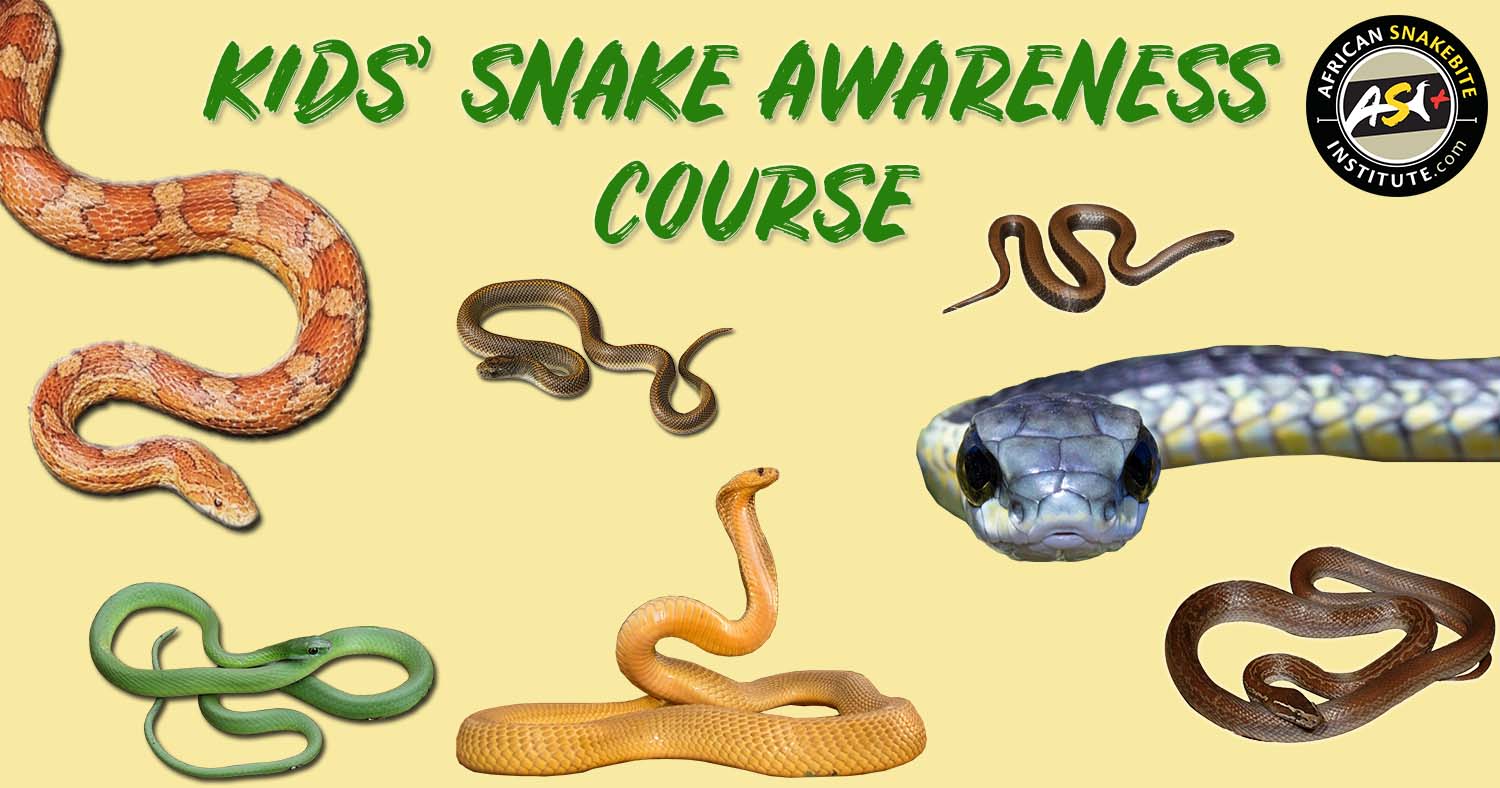 Kids' Snake Awareness Course (Western Cape) - 2023-04-23