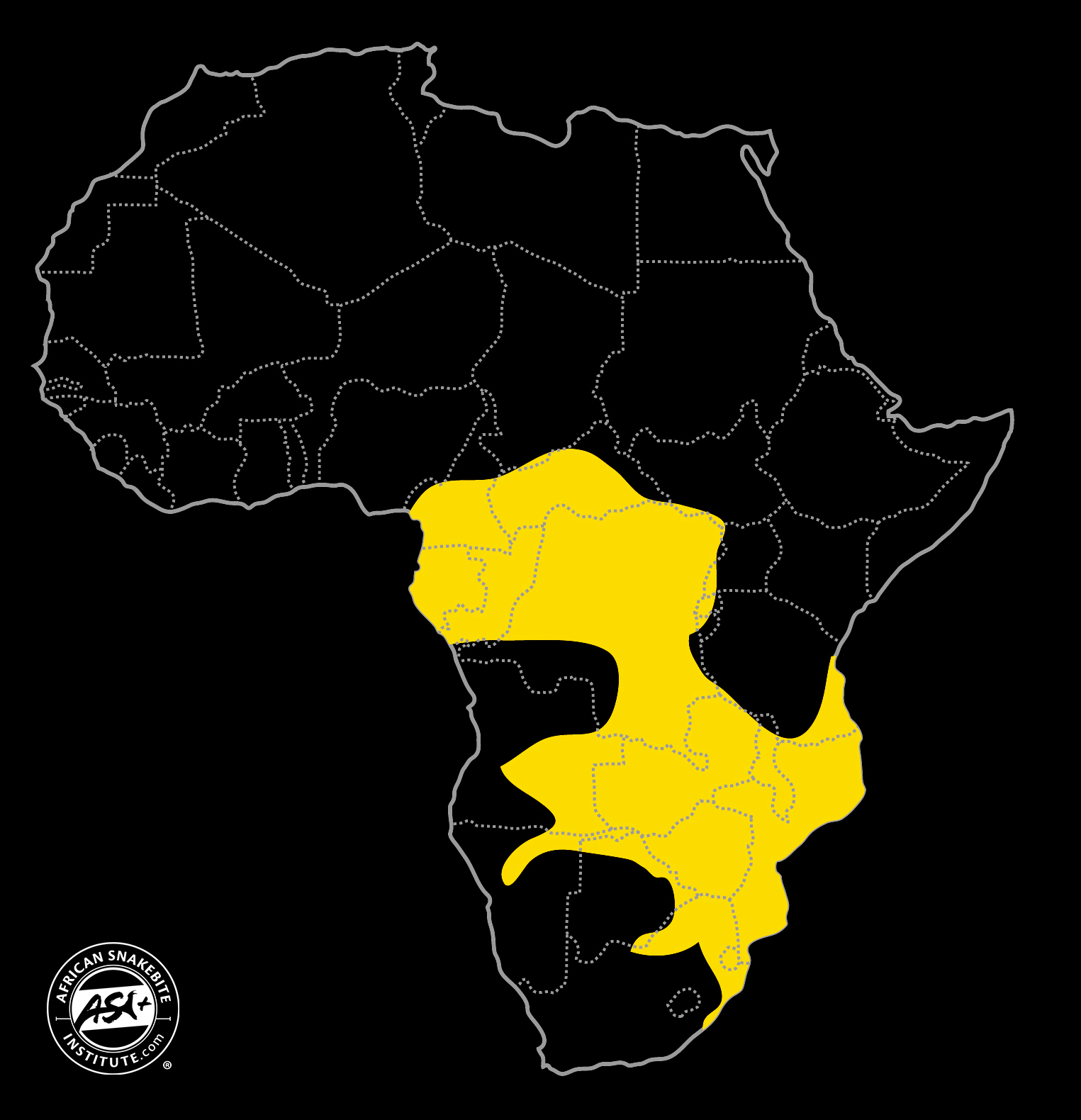 Common File Snake - African Snakebite Institute