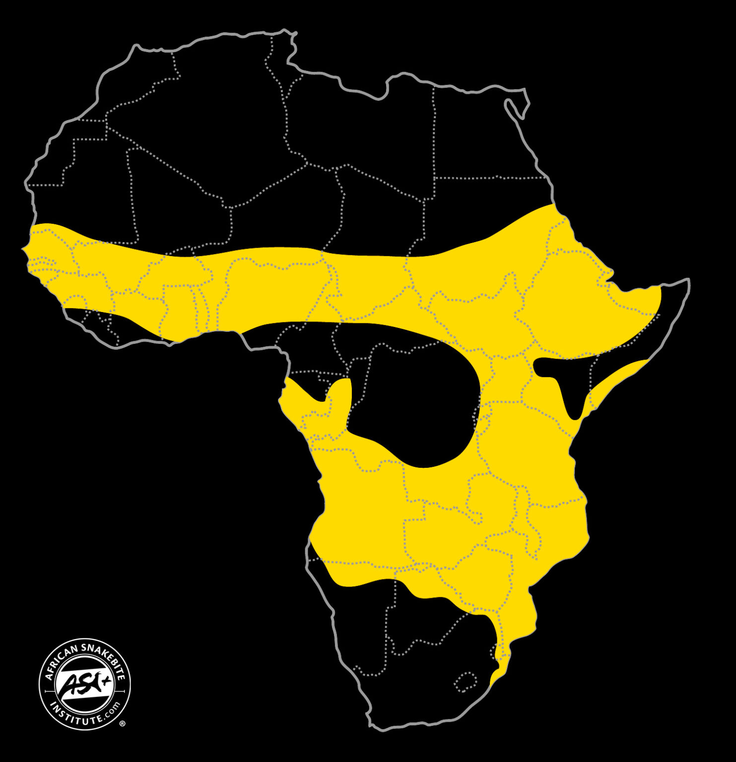 Olive Grass Snake - African Snakebite Institute