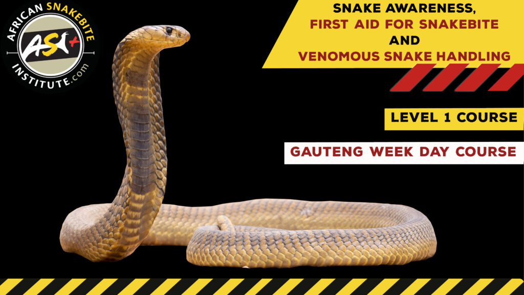 Snake Awareness & Venomous Snake Handling (Gauteng) - 2023-05-26