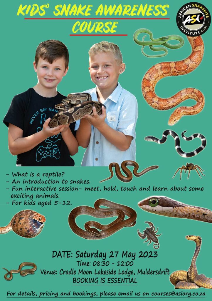 Kids' Snake Awareness Course (Gauteng) - 2023-05-27