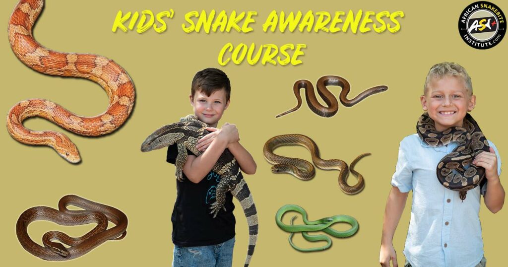 - African Snakebite Institute Kid's Snake Awareness Courses and Sessions