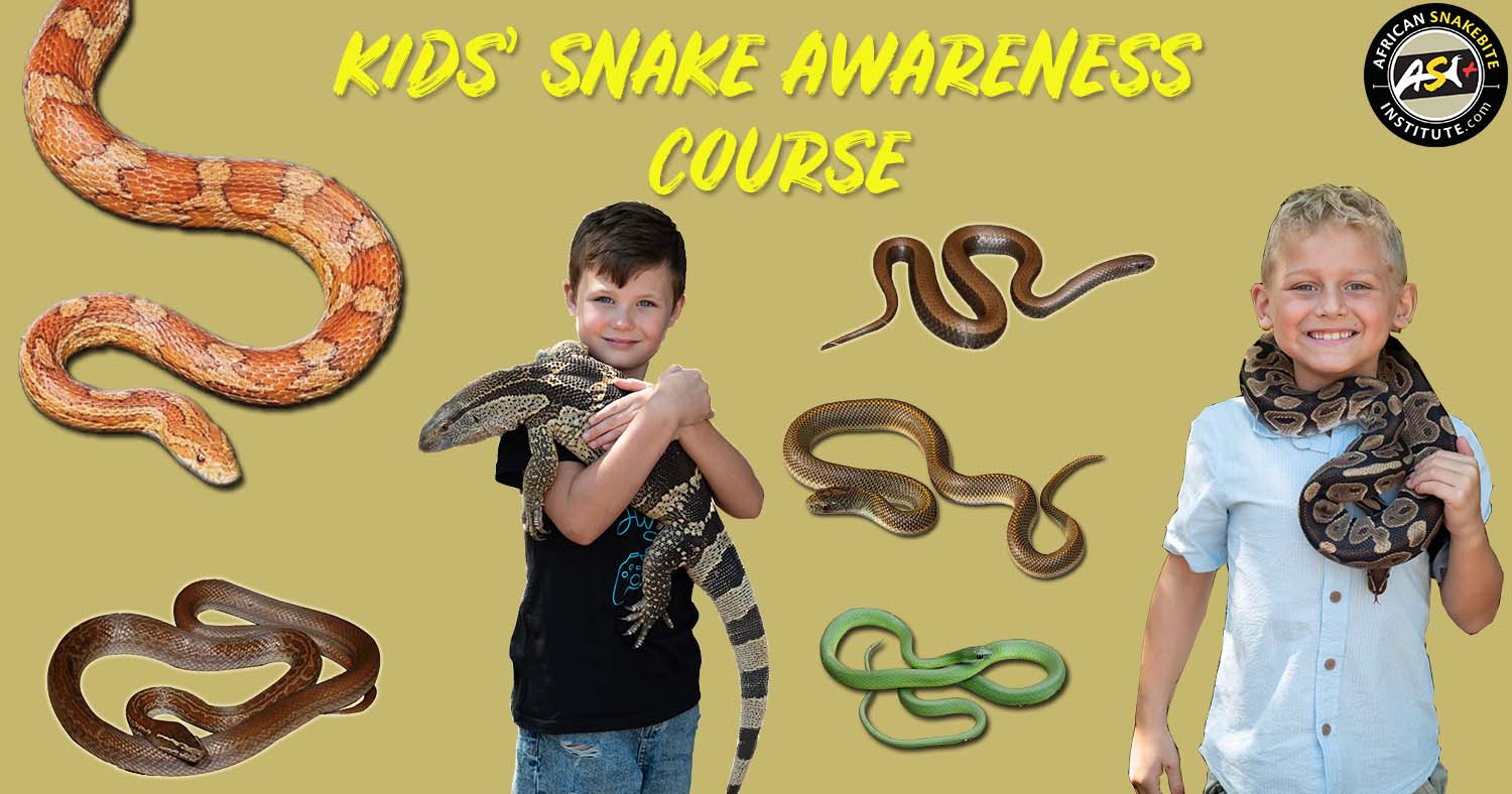 - African Snakebite Institute Kid's Snake Awareness Courses and Sessions