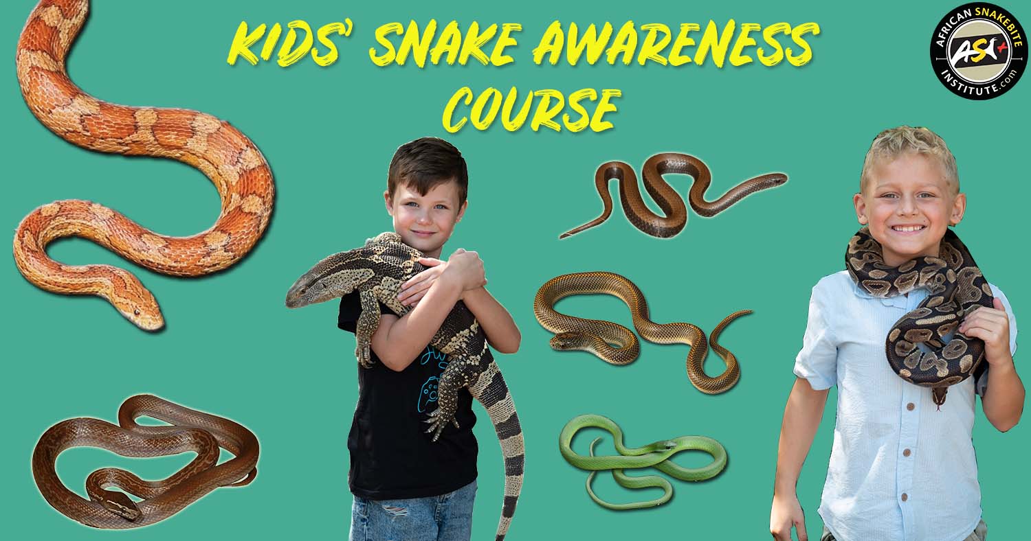 Kids' Snake Awareness Course (Gauteng) - 2023-05-27