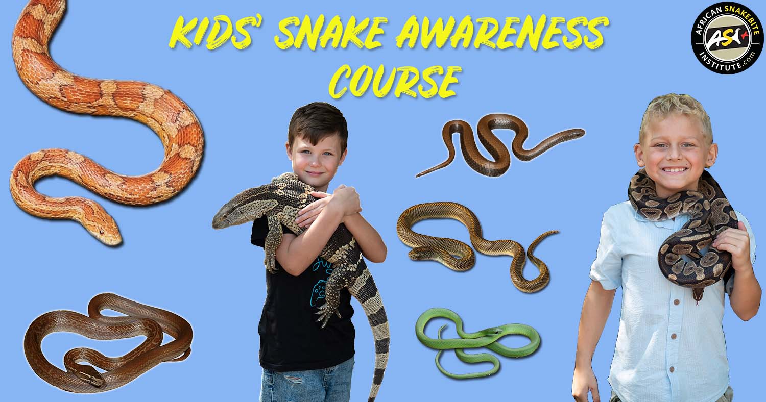 Kids' Snake Awareness Course (Gauteng) - 2023-05-28