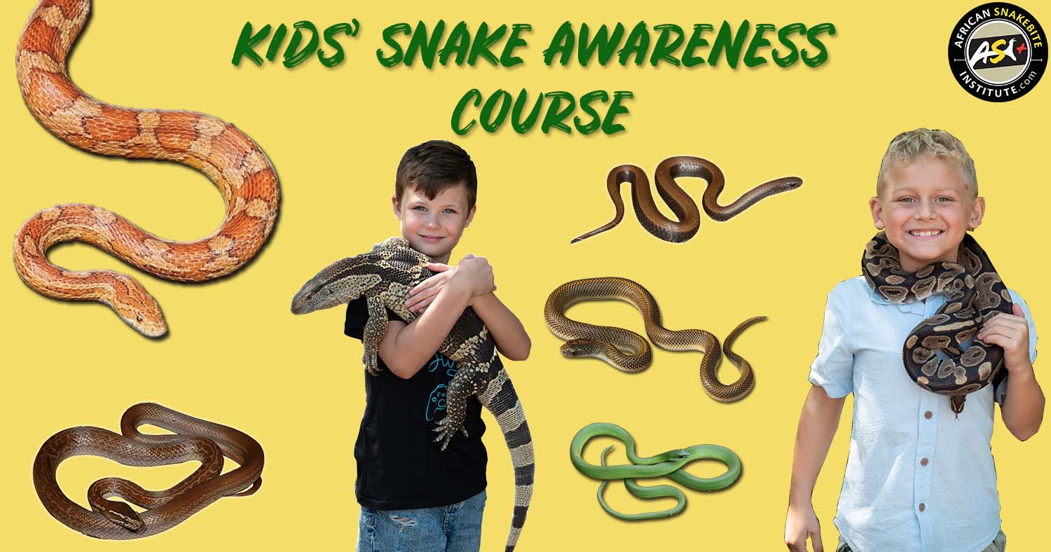 Kids' Snake Awareness Course (Western Cape) - 2023-05-21