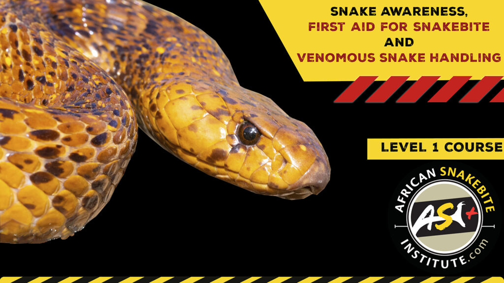 Snake Awareness & Venomous Snake Handling (Free State) - 2023-07-01