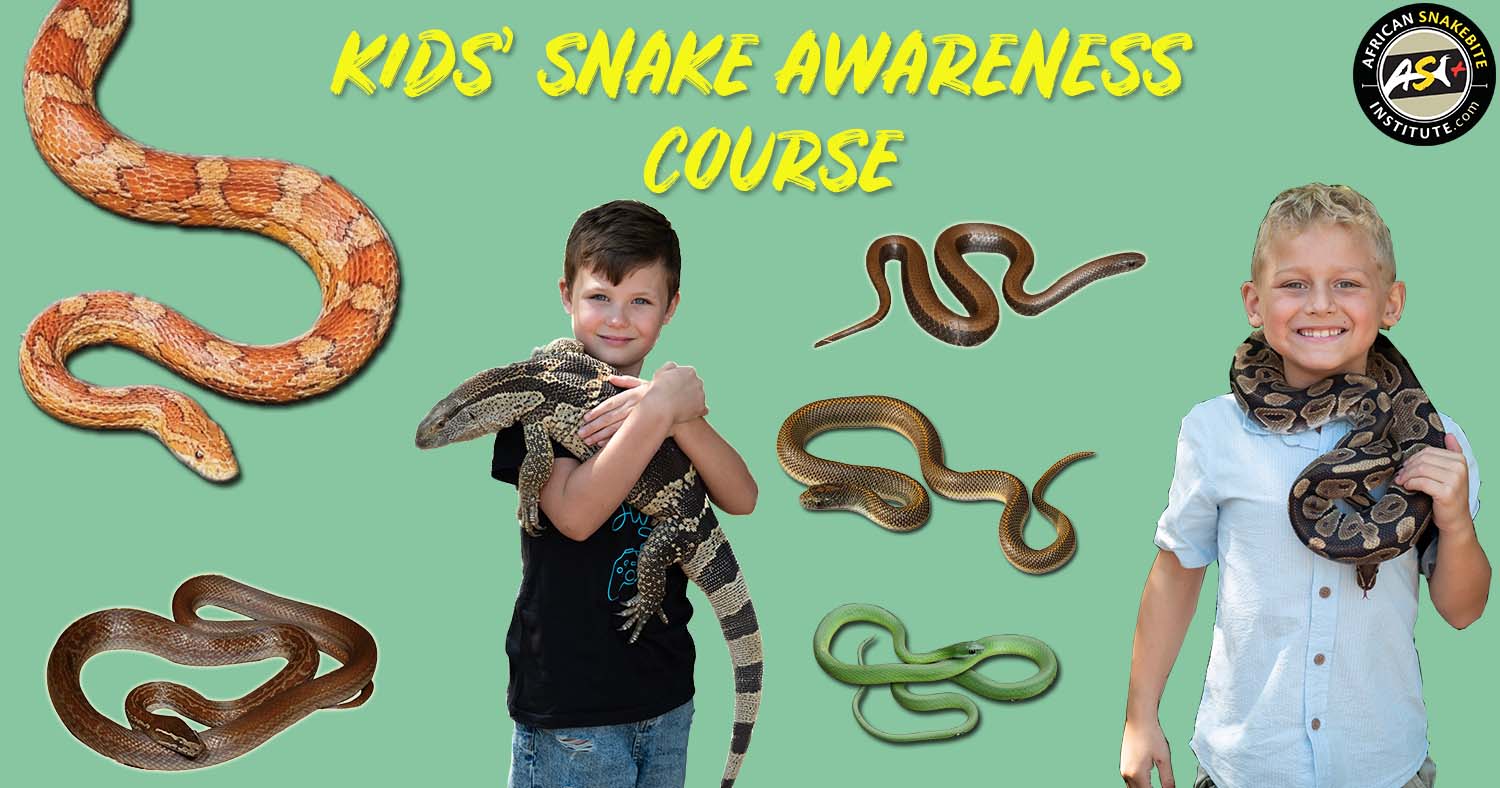 Kids' Snake Awareness Course (Western Cape) - 2023-08-20