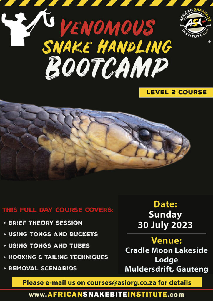 Venomous Snake Handling Bootcamp (Gauteng) - 2023-07-30