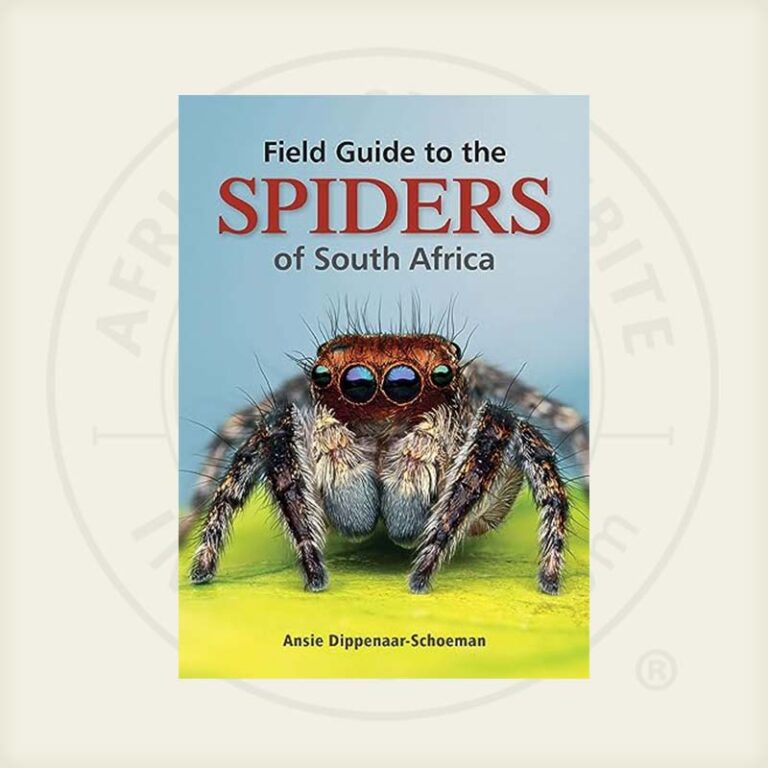 Field Guide to the Spiders of Southern Africa - African Snakebite Institute