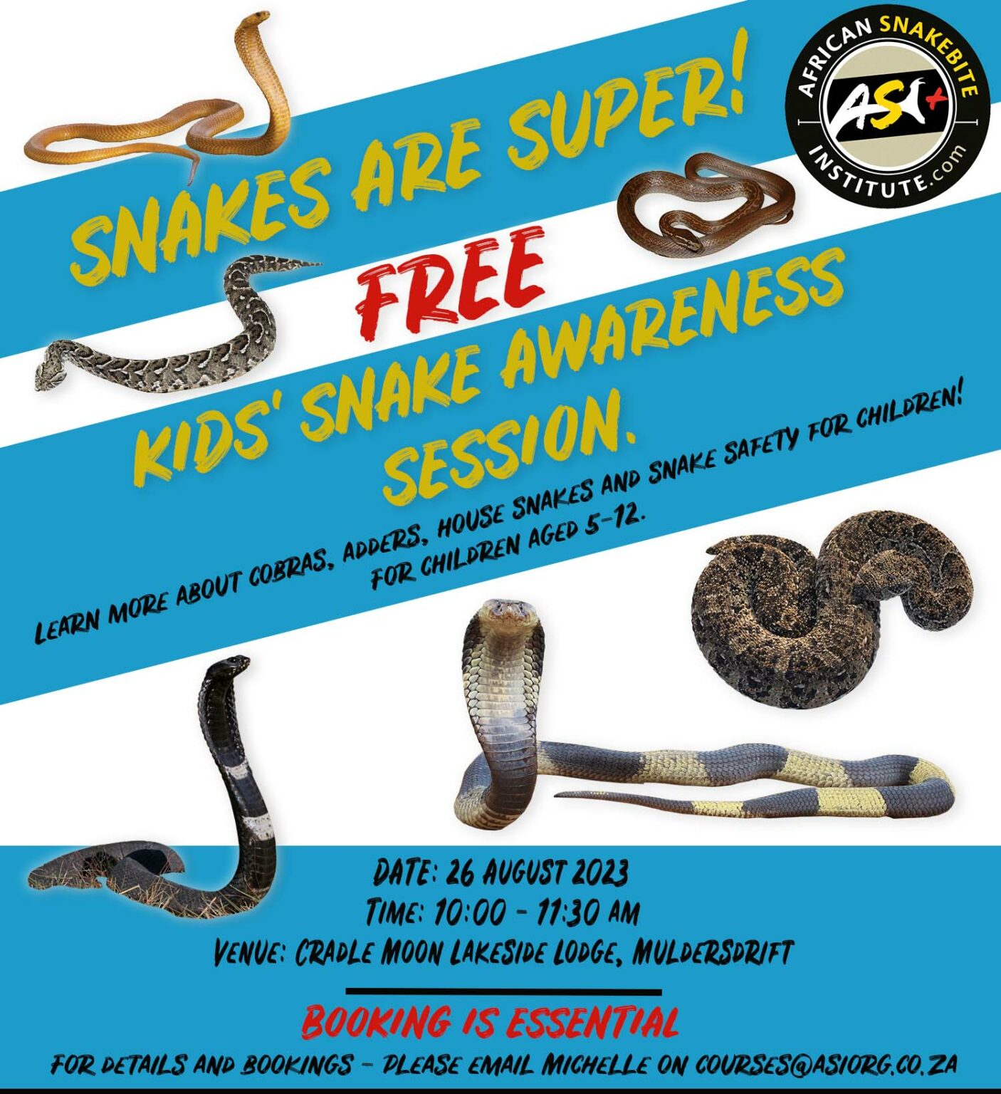 Snakes are super! Kids' Snake Awareness Session - Gauteng - Cradle Moon ...