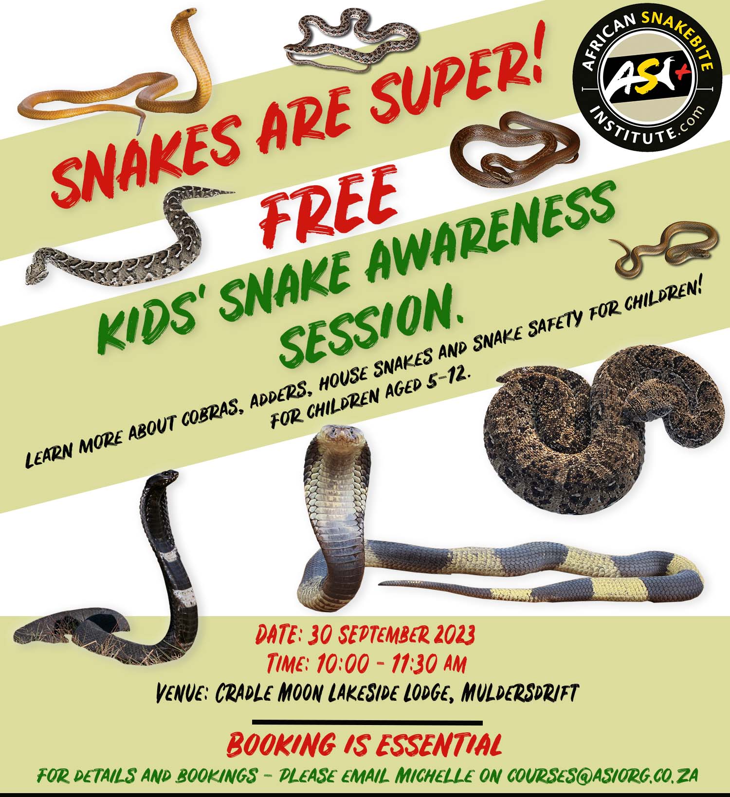 Snakes are super! Kids' Snake Awareness Session - Gauteng - Cradle Moon ...