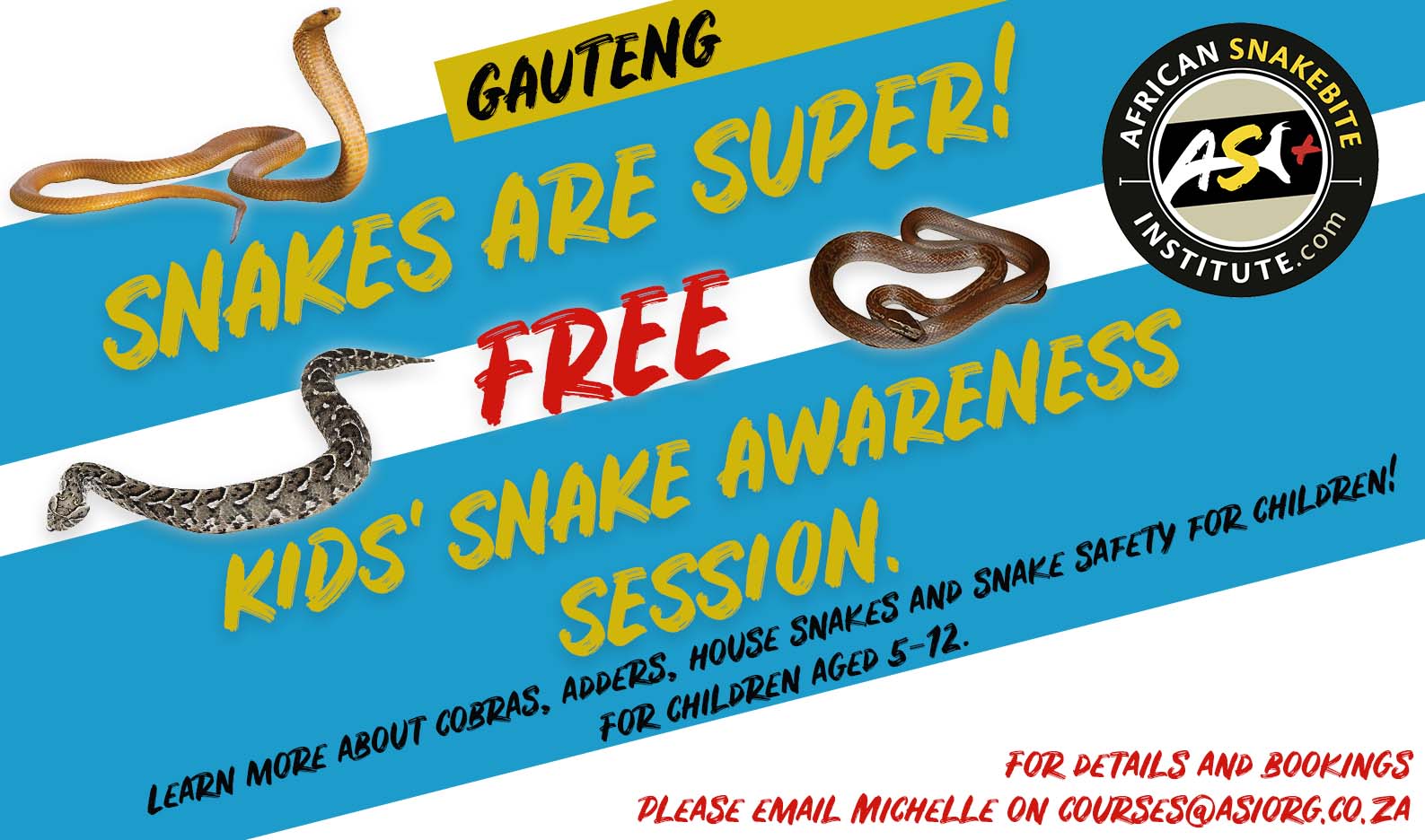 Snakes are super! Kids' Snake Awareness Session - Gauteng - Cradle Moon ...