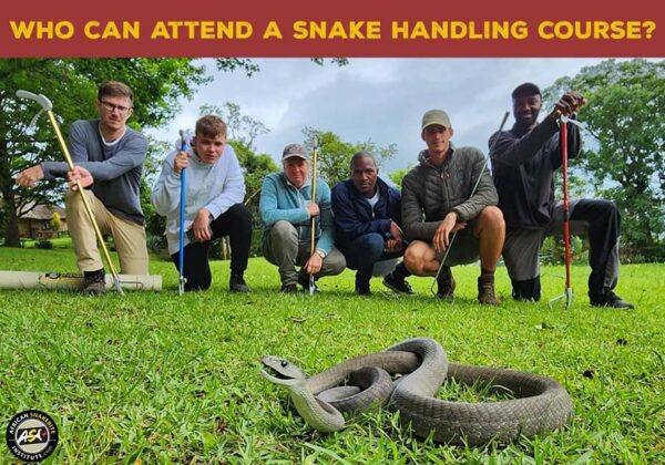 Who can attend a Snake Handling Course? - African Snakebite Institute