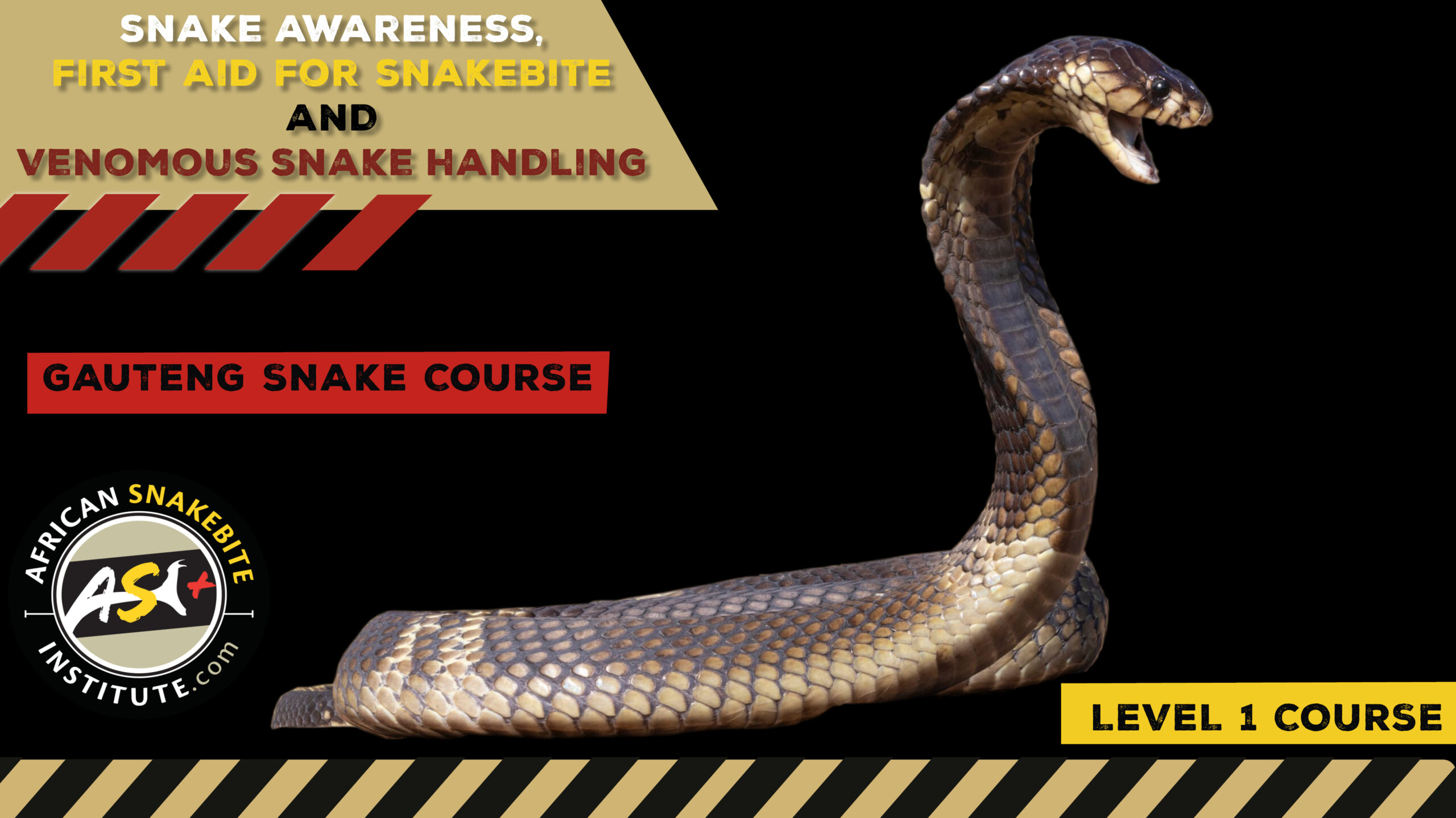 Snake Awareness & Venomous Snake Handling (Gauteng) - 2023-10-28