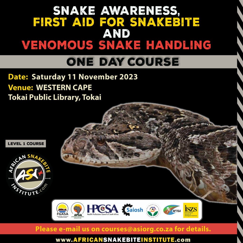 Snake Awareness & Venomous Snake Handling (Tokai - Western Cape) - 2023-11-11