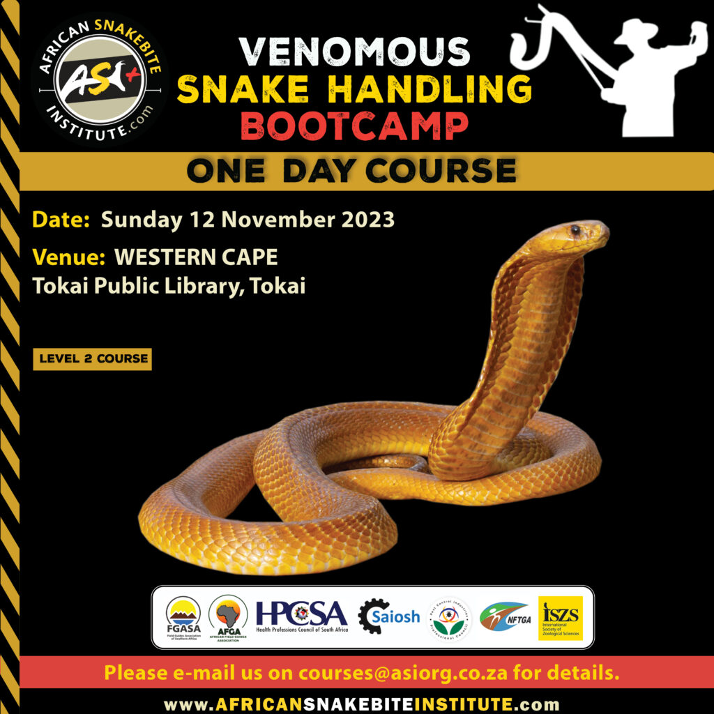 Venomous-Snake Handling Bootcamp (Tokai - Western Cape) - 2023-11-12