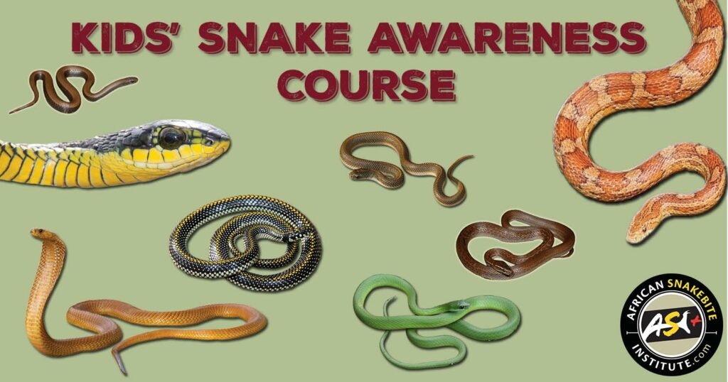Kids' Snake Awareness Course (Western Cape) - 2023-10-01
