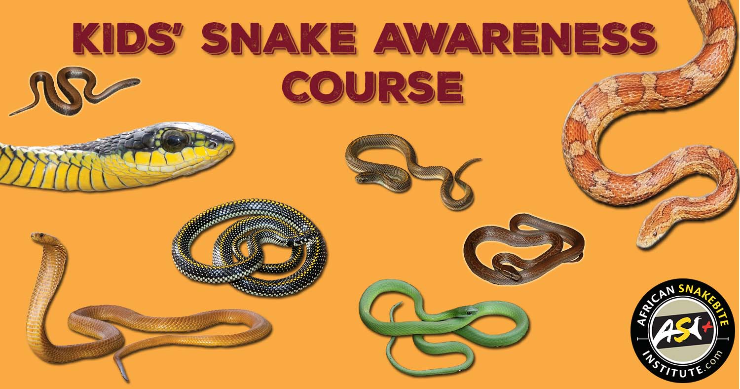 Kids' Snake Awareness Course (Western Cape) - 2023-10-22