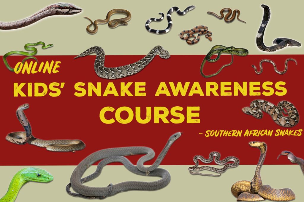 African Snakebite Institute