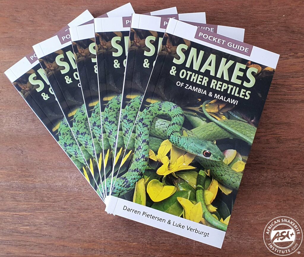Pocket Guide Snakes & Reptiles of Zambia & Malawi - African Snakebite ...
