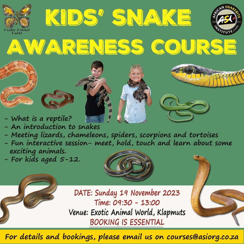 Kids' Snake Awareness Course (Western Cape) - 2023-11-19