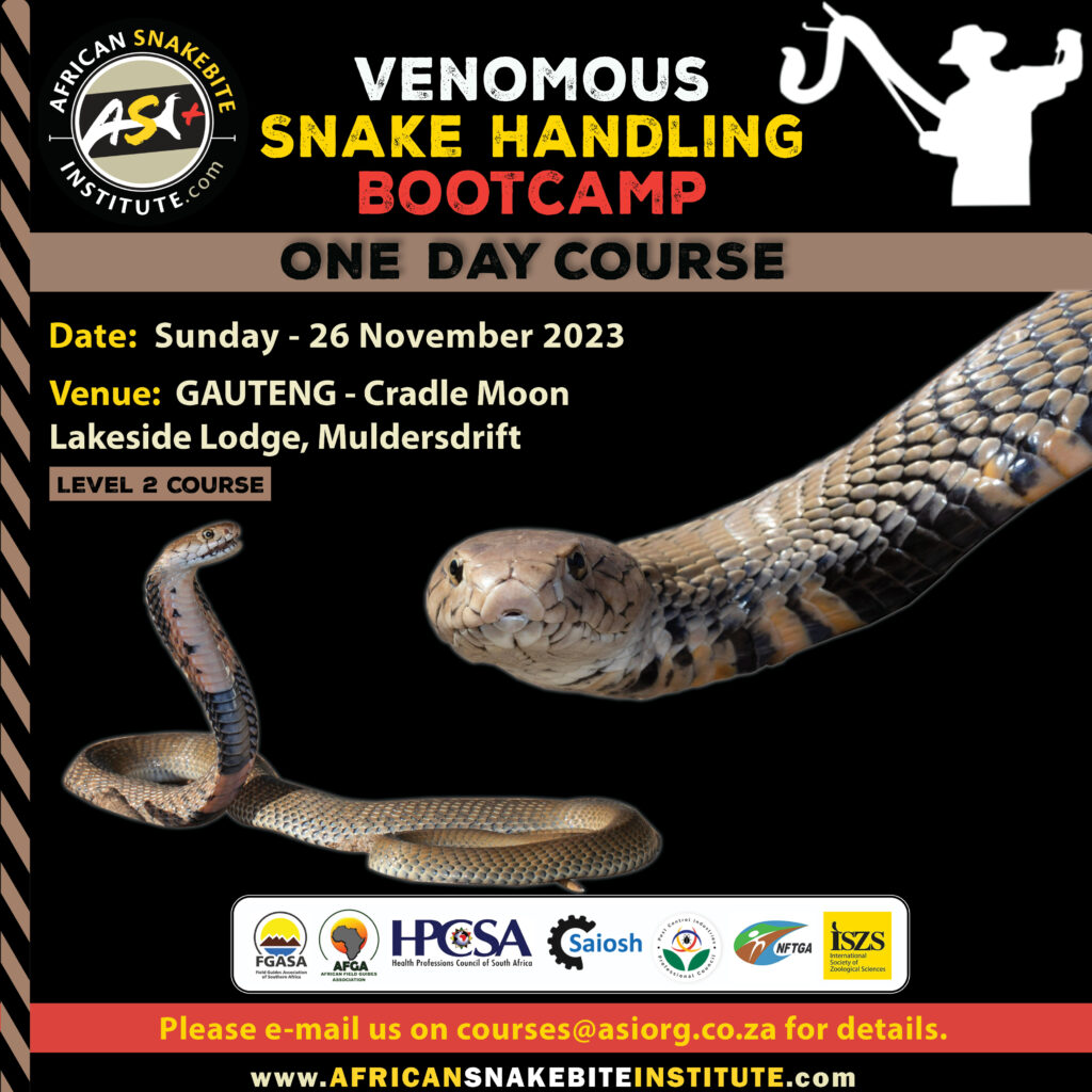 Venomous Snake Handling Bootcamp (Gauteng) - 2023-11-26