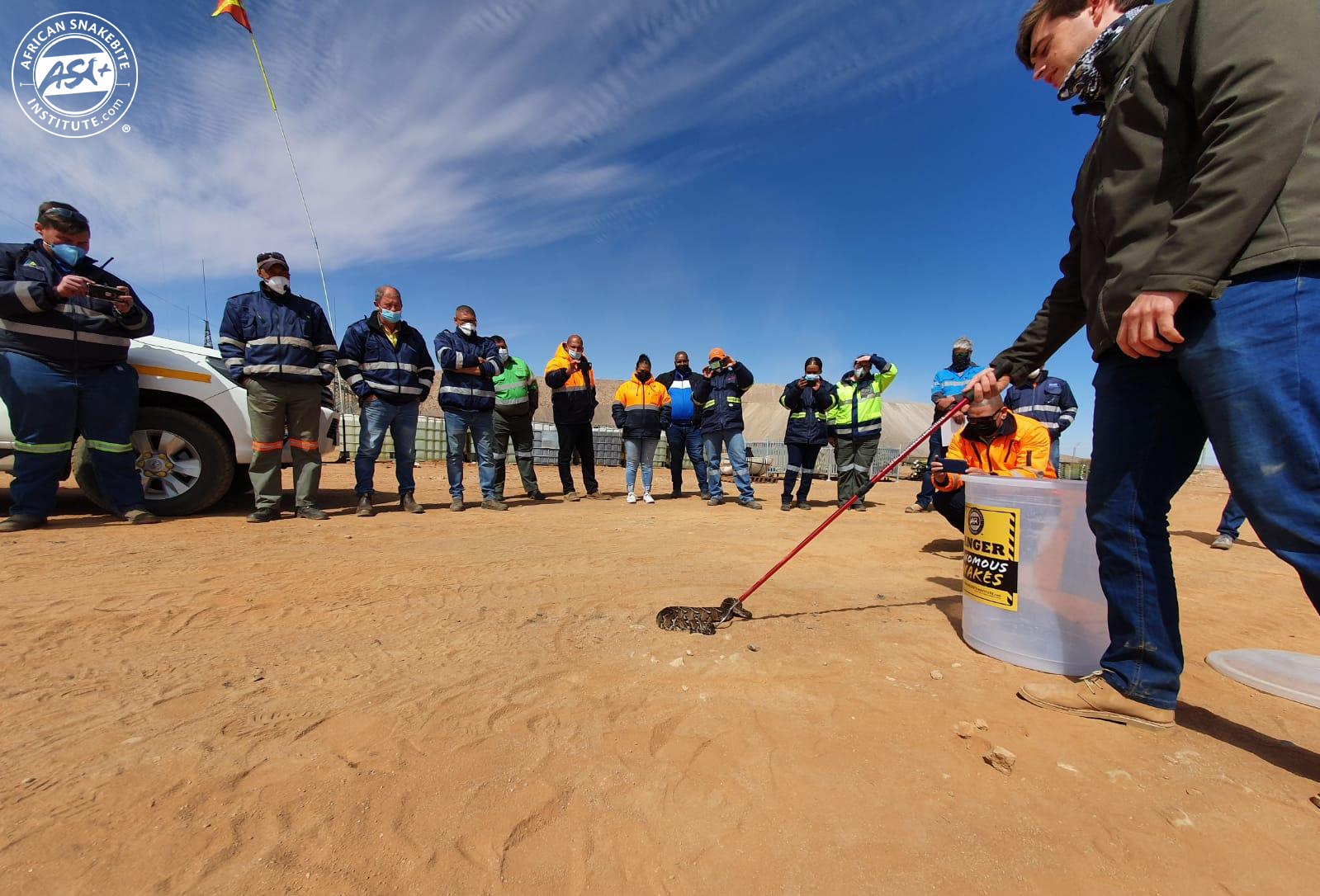 Catching and releasing snakes - African Snakebite Institute