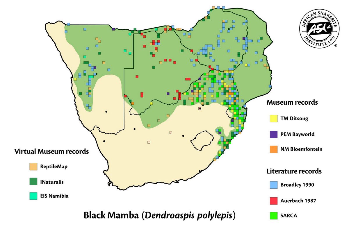 Catching and releasing snakes - African Snakebite Institute