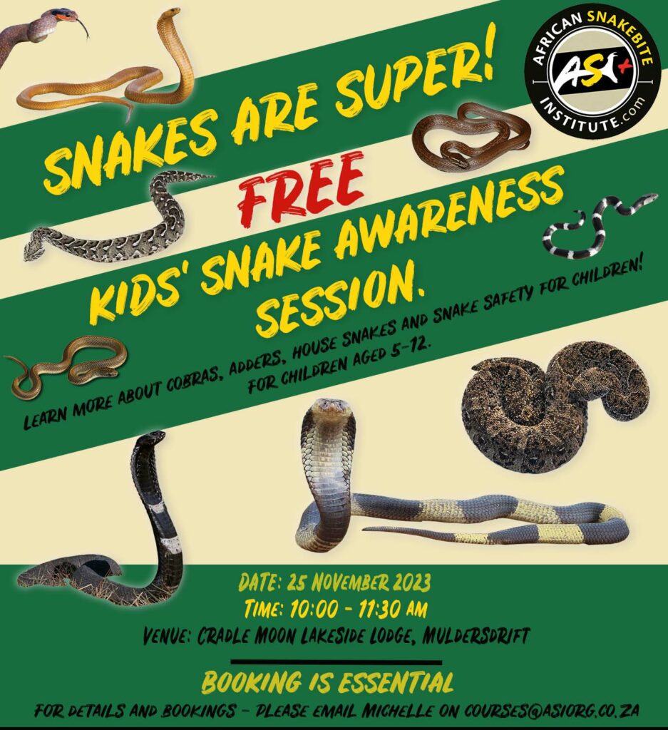 Snakes are super! Kids' Snake Awareness Session - Gauteng - Cradle Moon ...