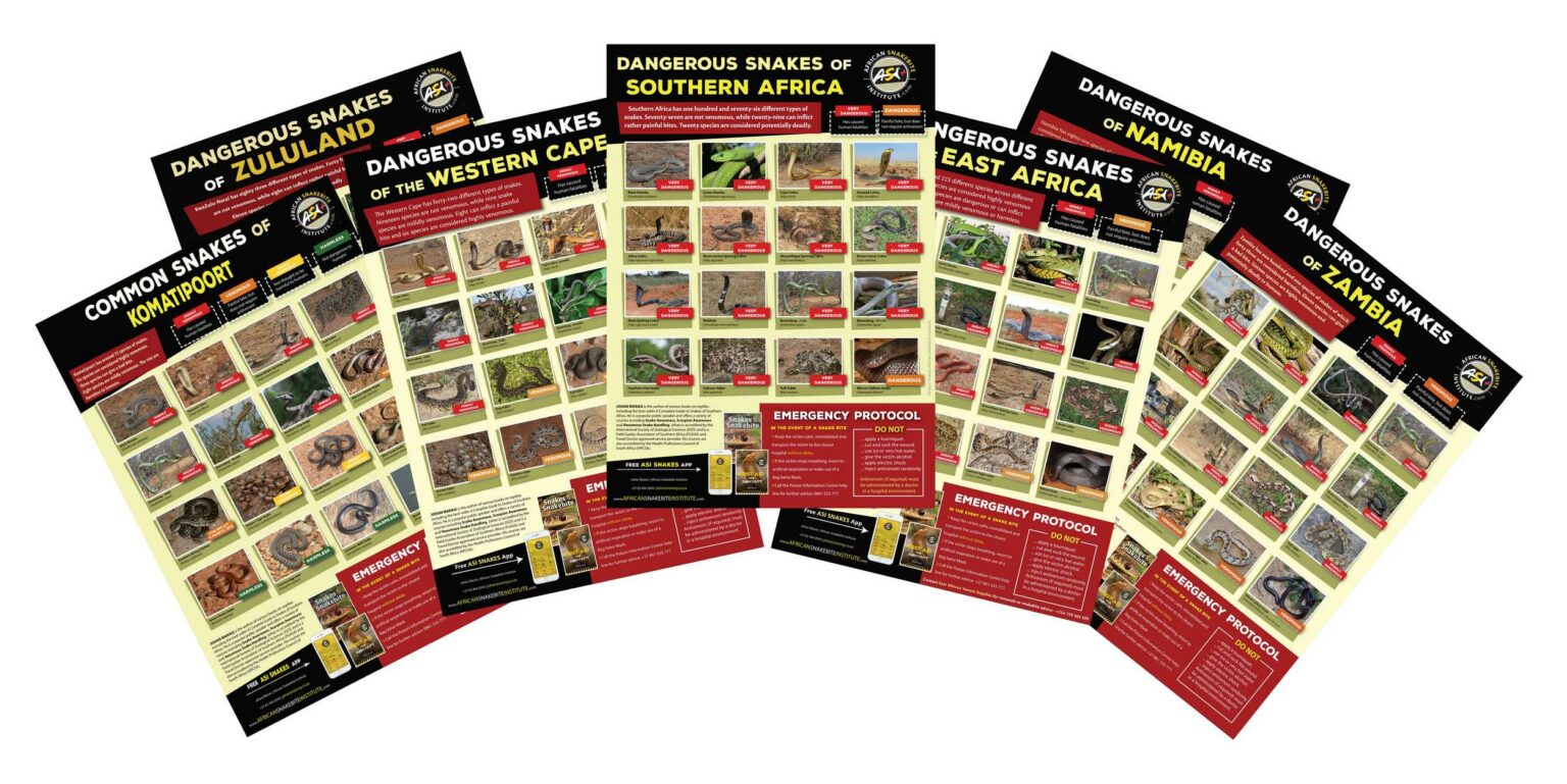 Snake Conservation - African Snakebite Institute